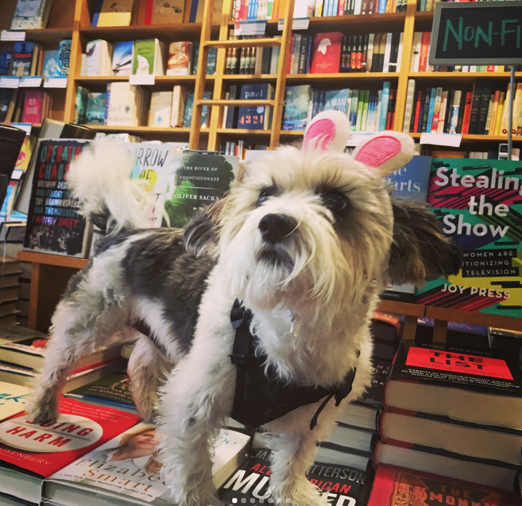 Shop Dogs Conduct Annual Employee Reviews in Preparation for ...