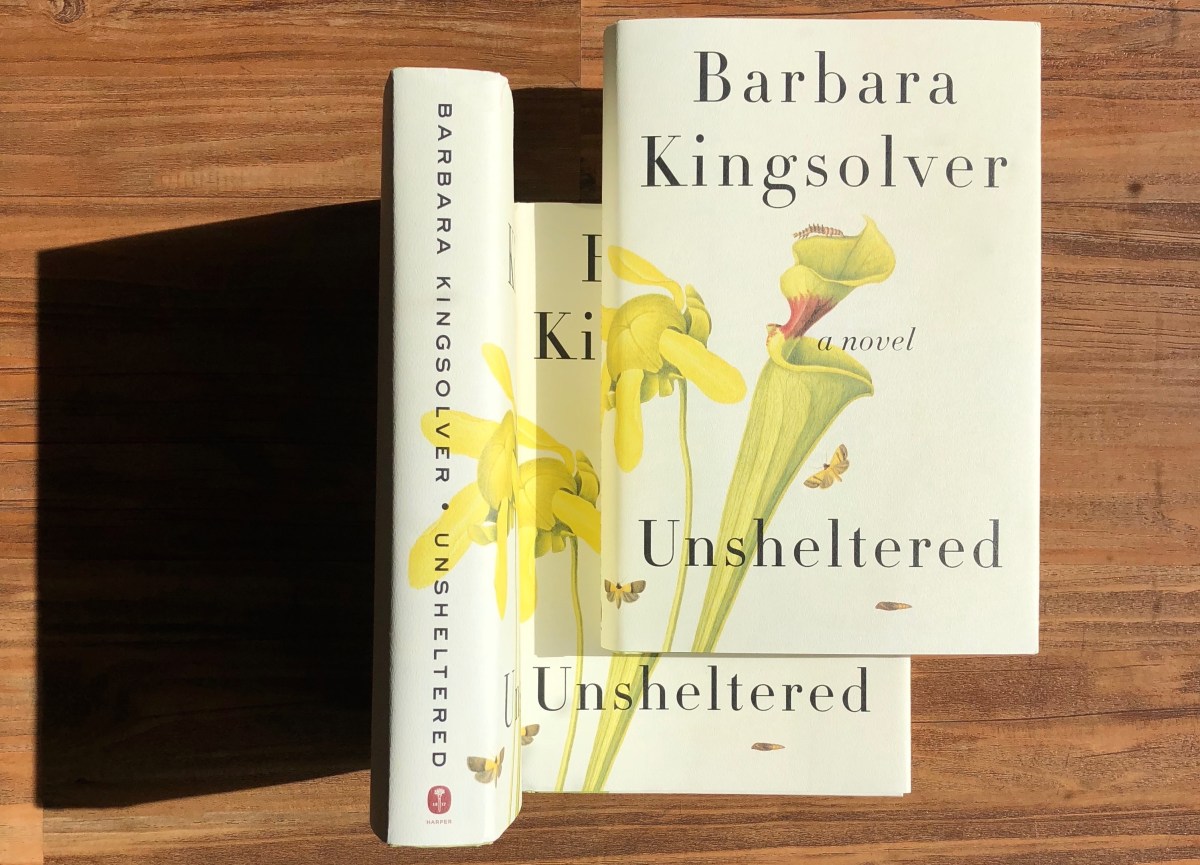 Notes from Ann: Origin Story – Musing